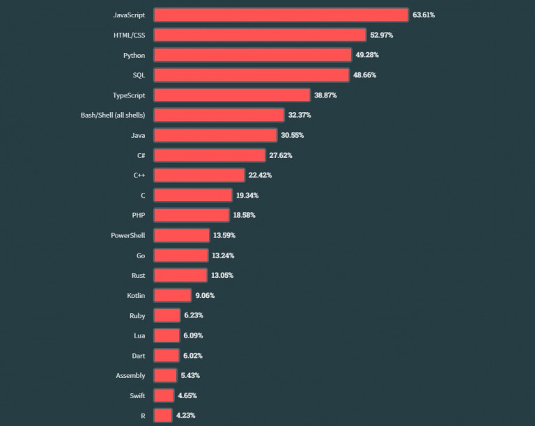 Most Popular Programming Languages in the USA (2025 Updated) | Shakuro