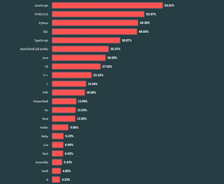 Rust Vs Python Choosing The Right Language For Your Project Shakuro