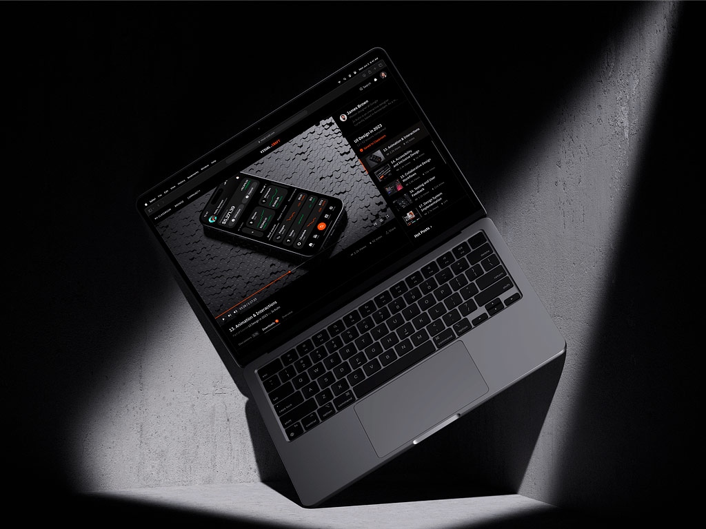 Most Popular Programming Languages in the USA (2024 Edition) | Shakuro