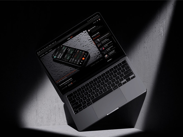 Most Popular Programming Languages in the USA (2024 Edition) | Shakuro